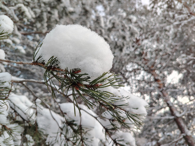 Обзор смартфона HONOR X9c: прочный средний класс | ichip.ru